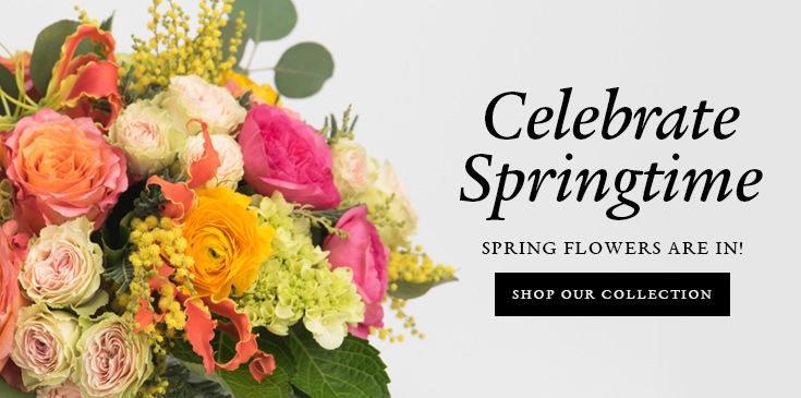 Flower Delivery Philadelphia Same-Day Florist - Robertson's Flowers