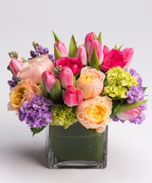 Flower Delivery Philadelphia Same-Day Florist - Robertson's Flowers