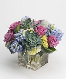 Flower Delivery Philadelphia Same-Day Florist - Robertson's Flowers